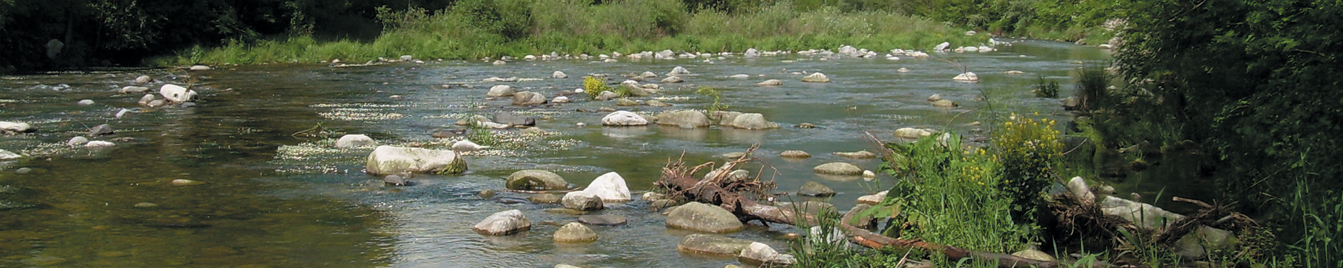 Home page | Comune di Losine